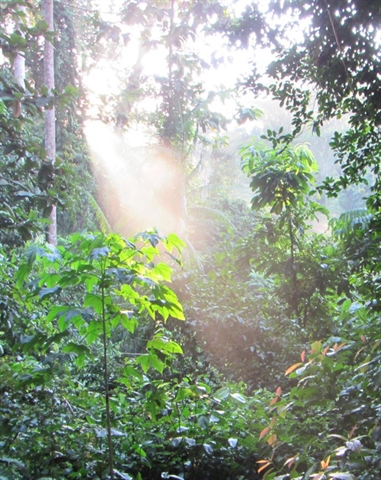 Olam Shares Tech with Wildlife Conservation Society’s Landscape ...